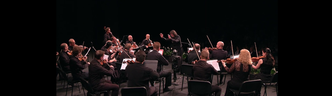 Yuri Bashmet conducts and performs Mozart, Tchaikovsky, Dun ...